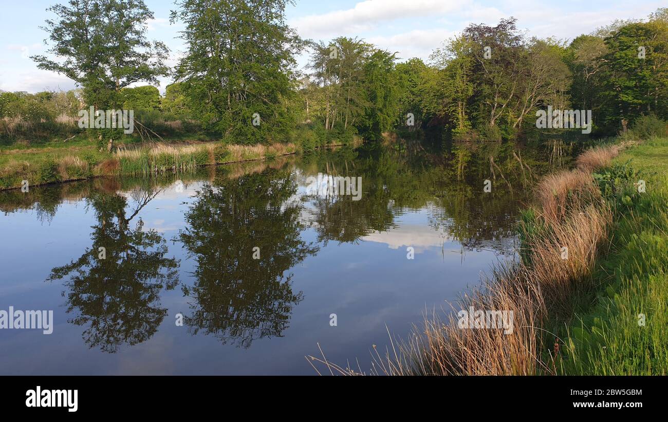 River with reflections of trees Stock Photo - Alamy