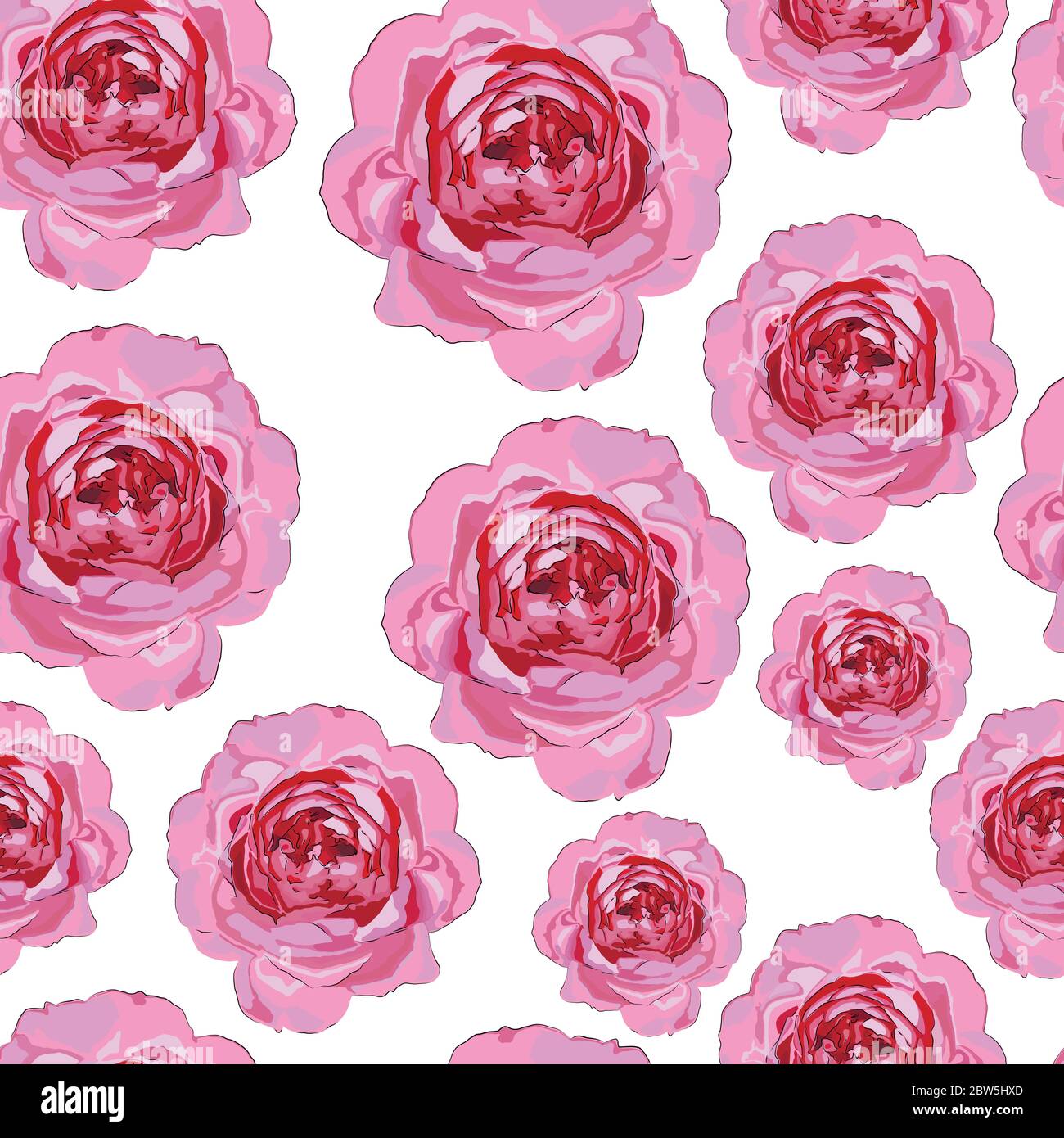 Seamless Floral Pink Roses Pattern. Vector Illustration. Floral ...