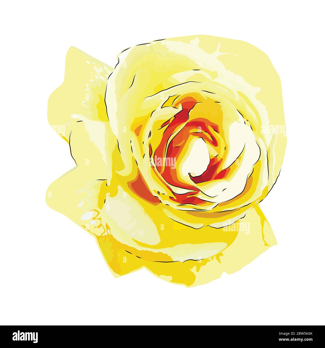 Yellow rose. Vector Illustration. Isolated on white background Stock ...