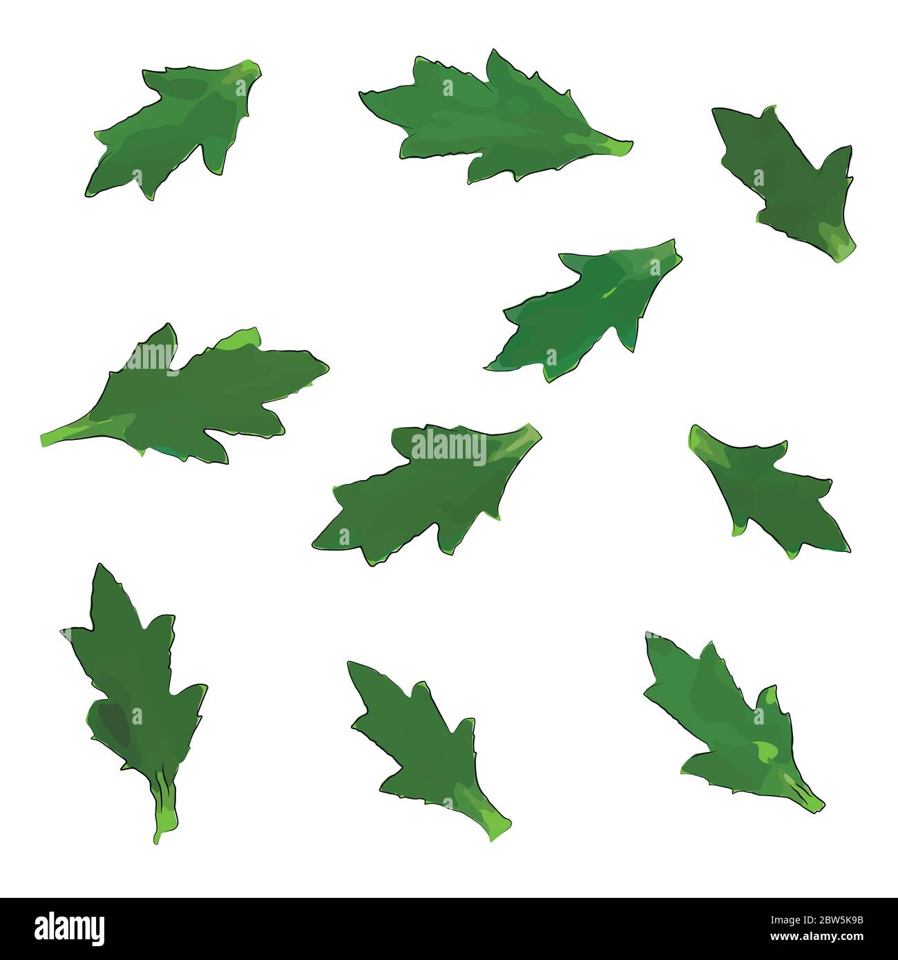 Leaves on a white background isolated. Vector Illustration Stock Vector ...