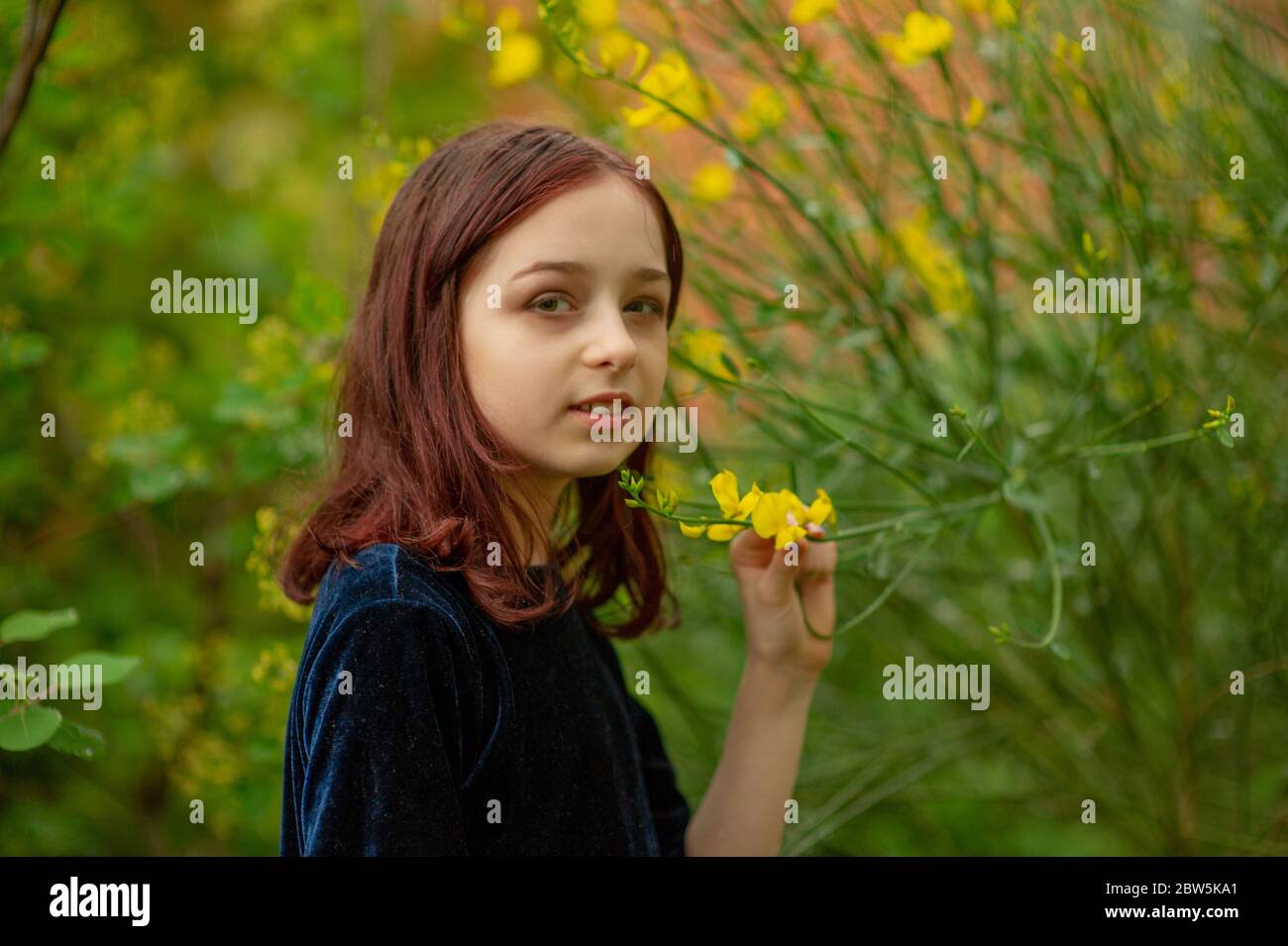 portrait of a little girl. Girl 9 years old. Representatives of the ...