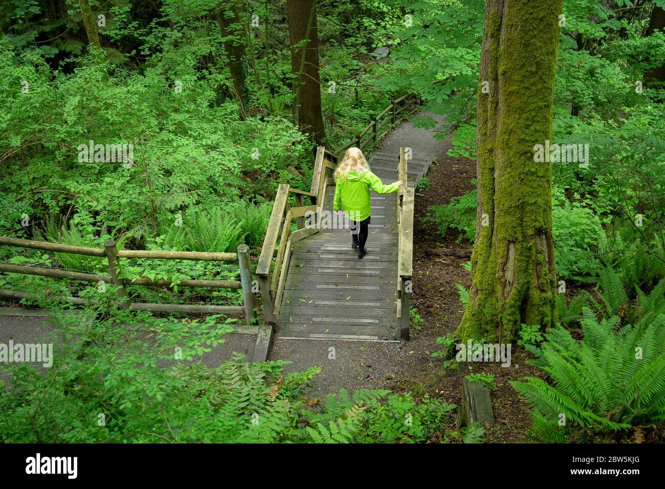 Mahon park hi-res stock photography and images - Alamy