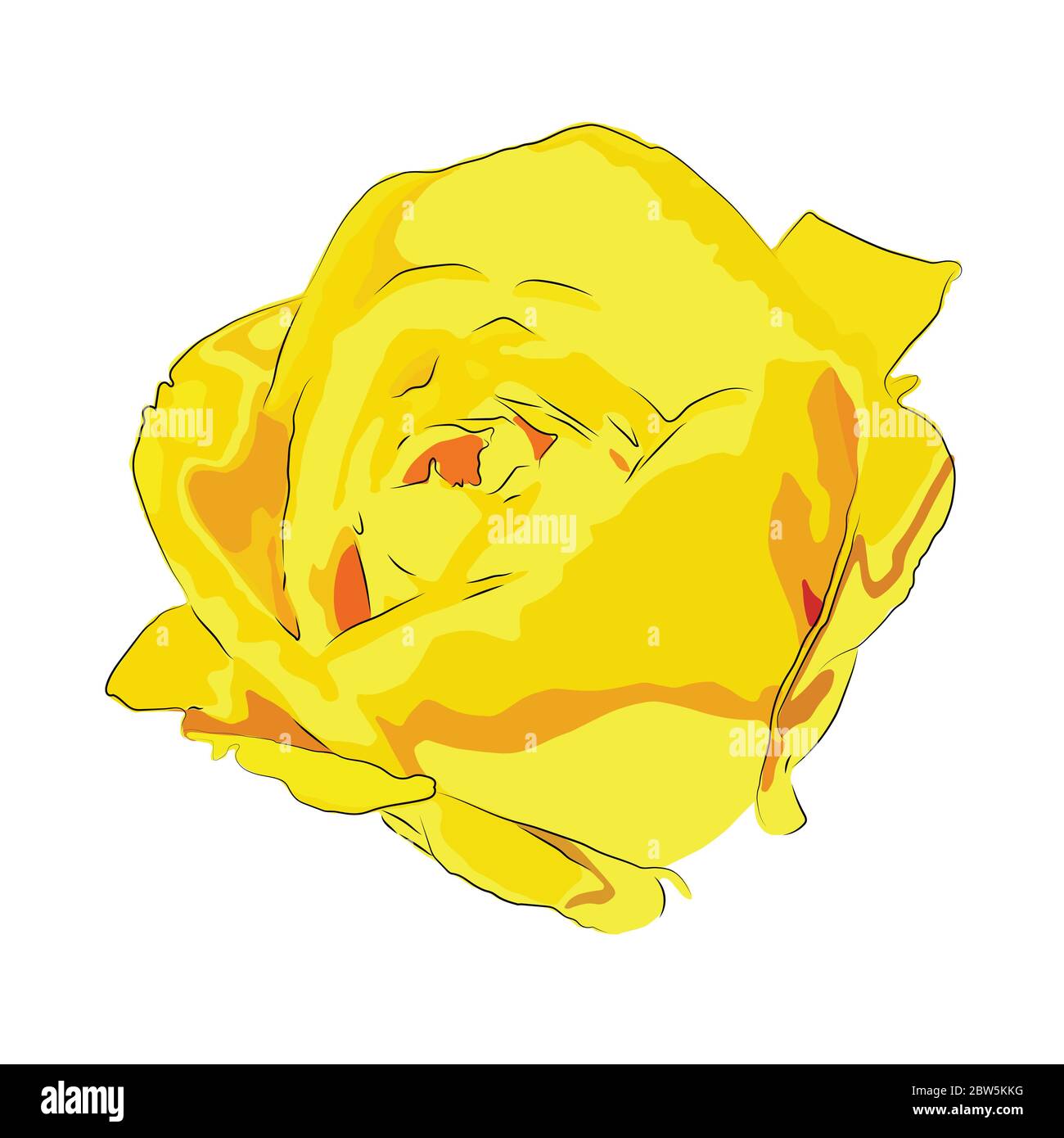Yellow rose. Vector Illustration. Isolated on white background Stock ...