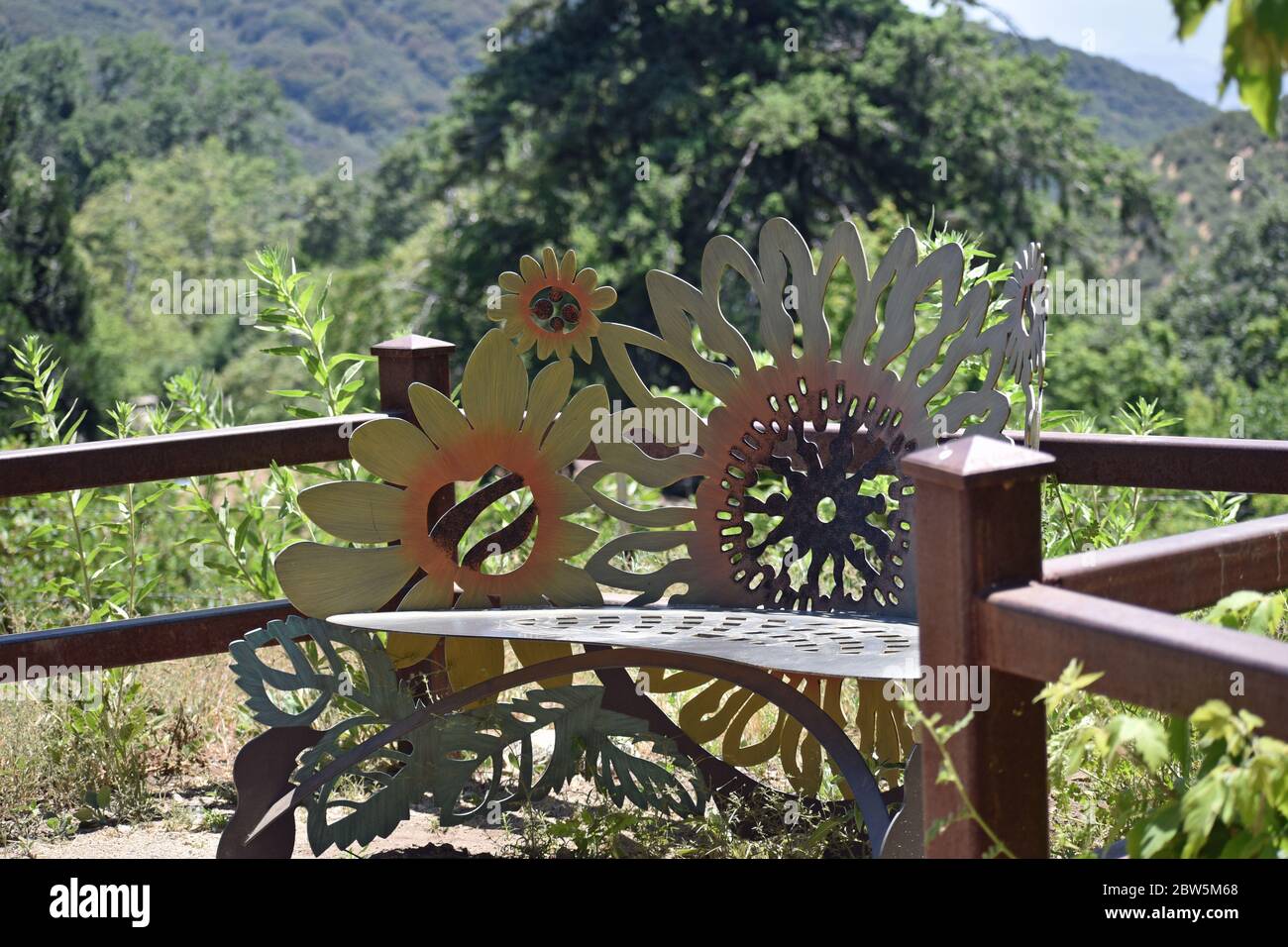 Sunflower wall fence garden hi-res stock photography and images - Alamy