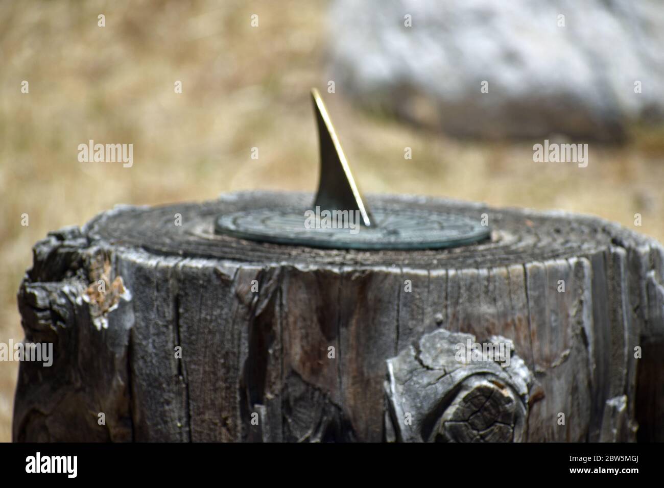 Sundial on a Tree Stump Stock Photo - Alamy