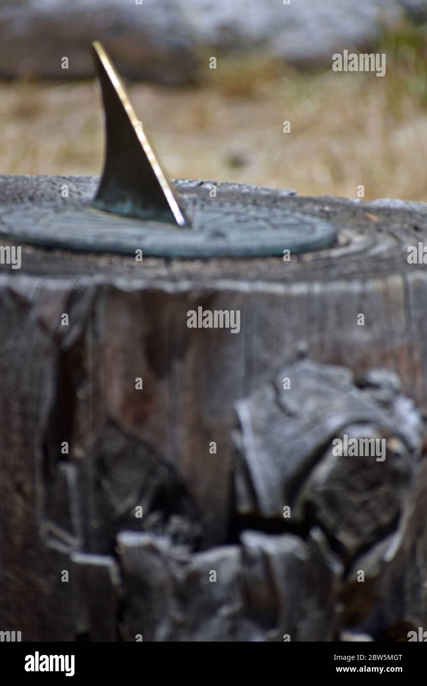 Sundial on a Tree Stump Stock Photo - Alamy
