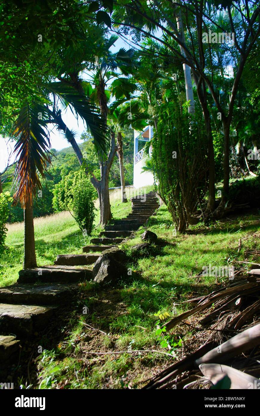 path leading to house, island of Providencia (in English, Providence ...