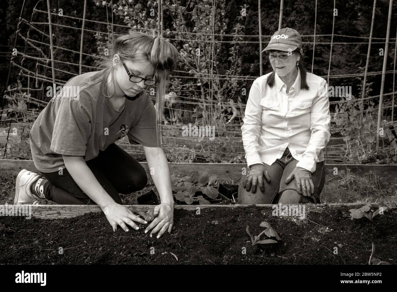 ARC-0051-BW........WASHINGTON - Penelope Protheroe of Angel Resource ...