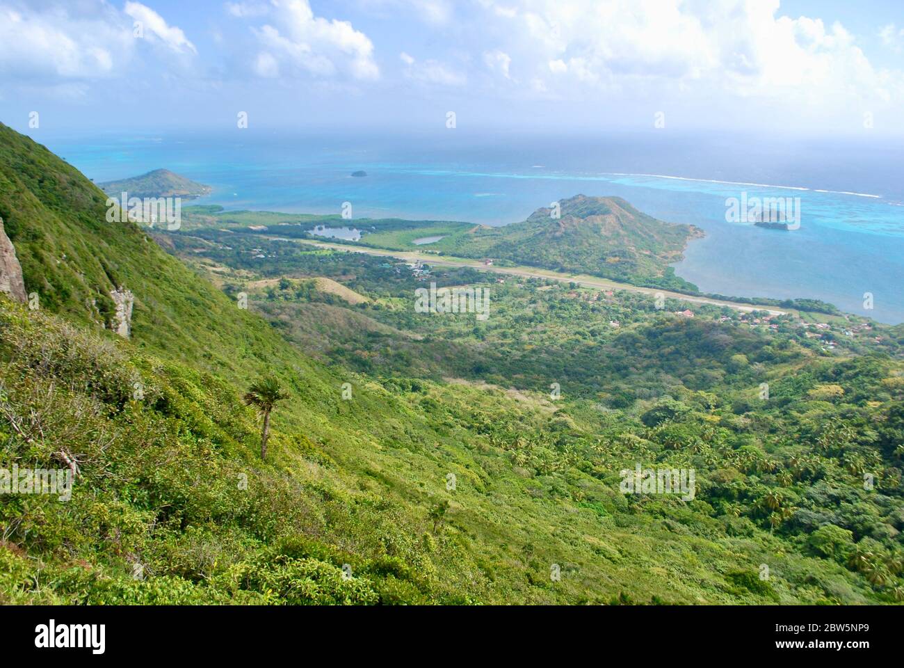 coral reef off island of Providencia (in English, Providence), Colombia ...