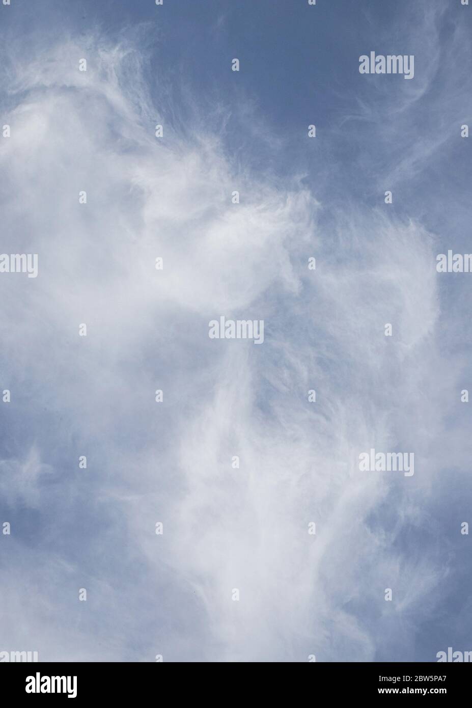 Marestail hi-res stock photography and images - Alamy