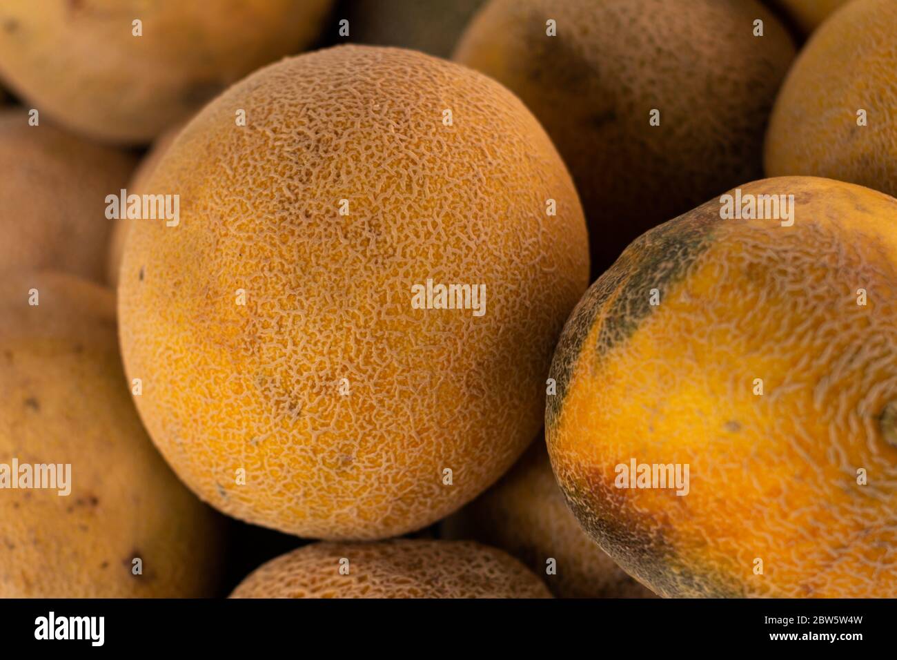 Yellow rind melons in the market Fresh tropical fruit Stock Photo - Alamy