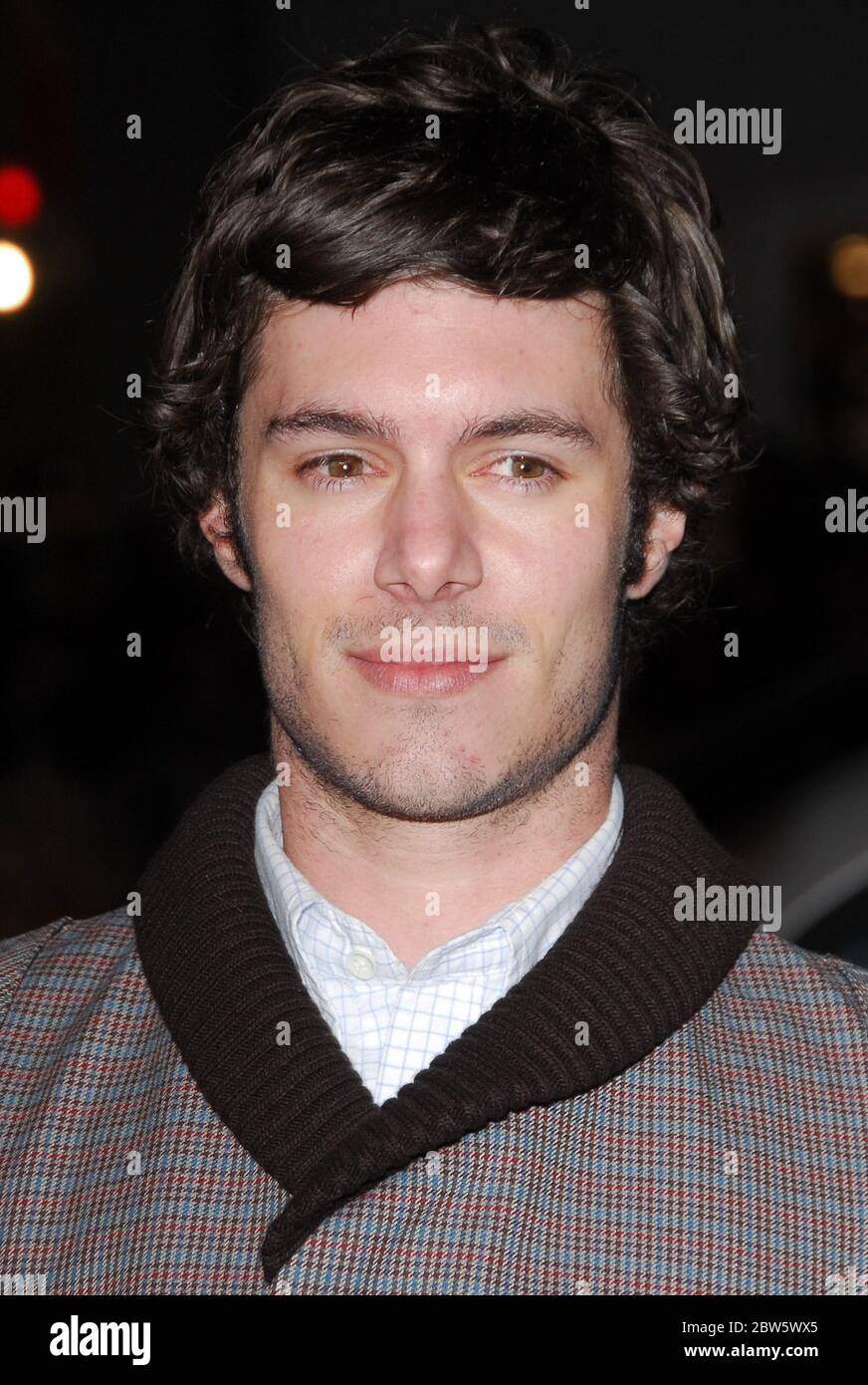 Adam Brody at the World Premiere of "Music And Lyrics" held at the ...