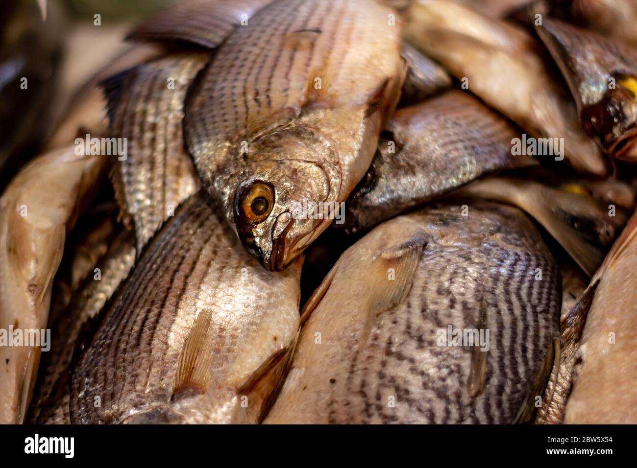 Fresh fish in the market. Marine food Approach of scales and skin of ...