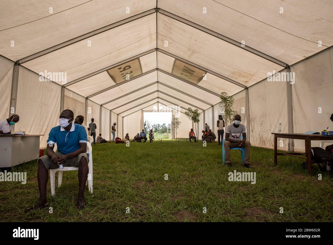 Elegu border hi-res stock photography and images - Alamy