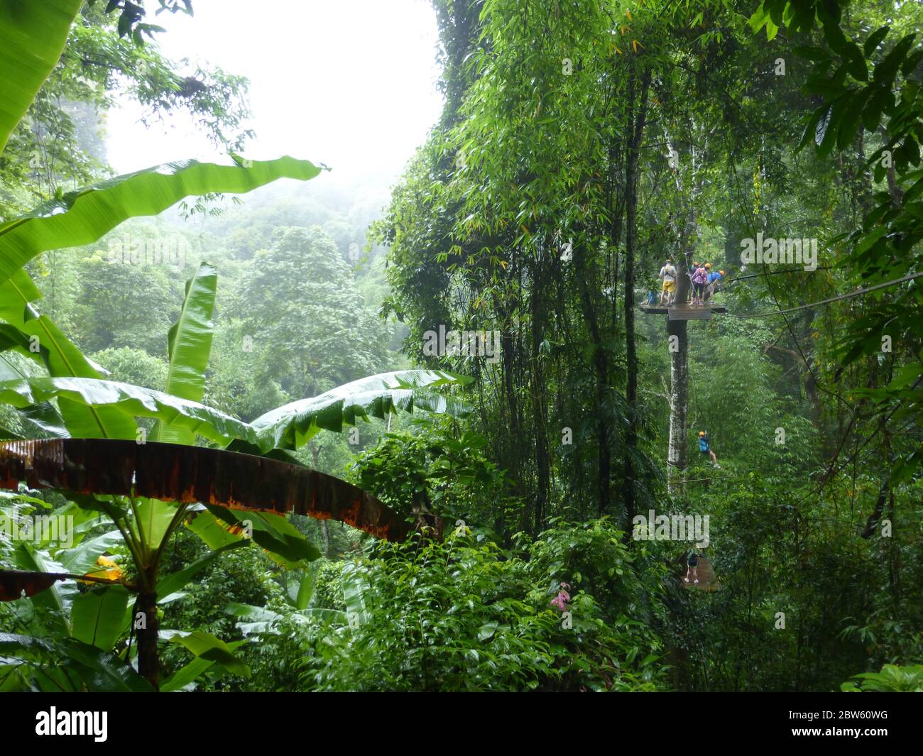 The amazon rainforest storm hi-res stock photography and images - Alamy