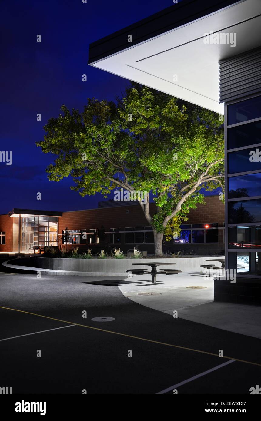 Night photo of school courtyard with large tree Stock Photo - Alamy