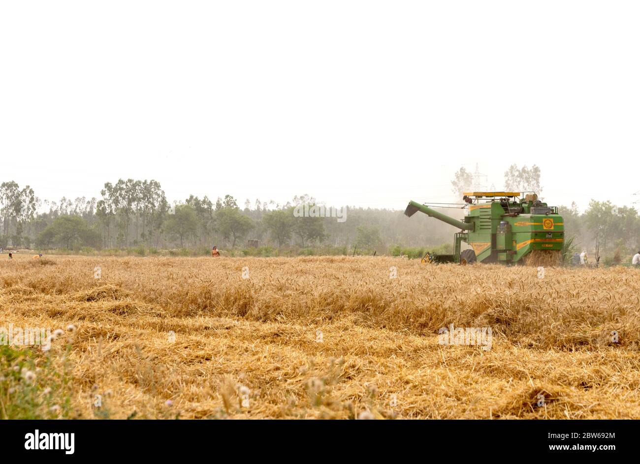 Modern agriculture punjab hi-res stock photography and images - Alamy