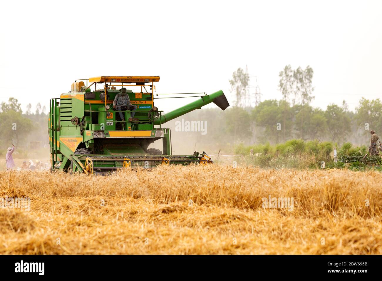 Ambala, Haryana/India April 28 2020.Man Drives Plowing Harvesting ...