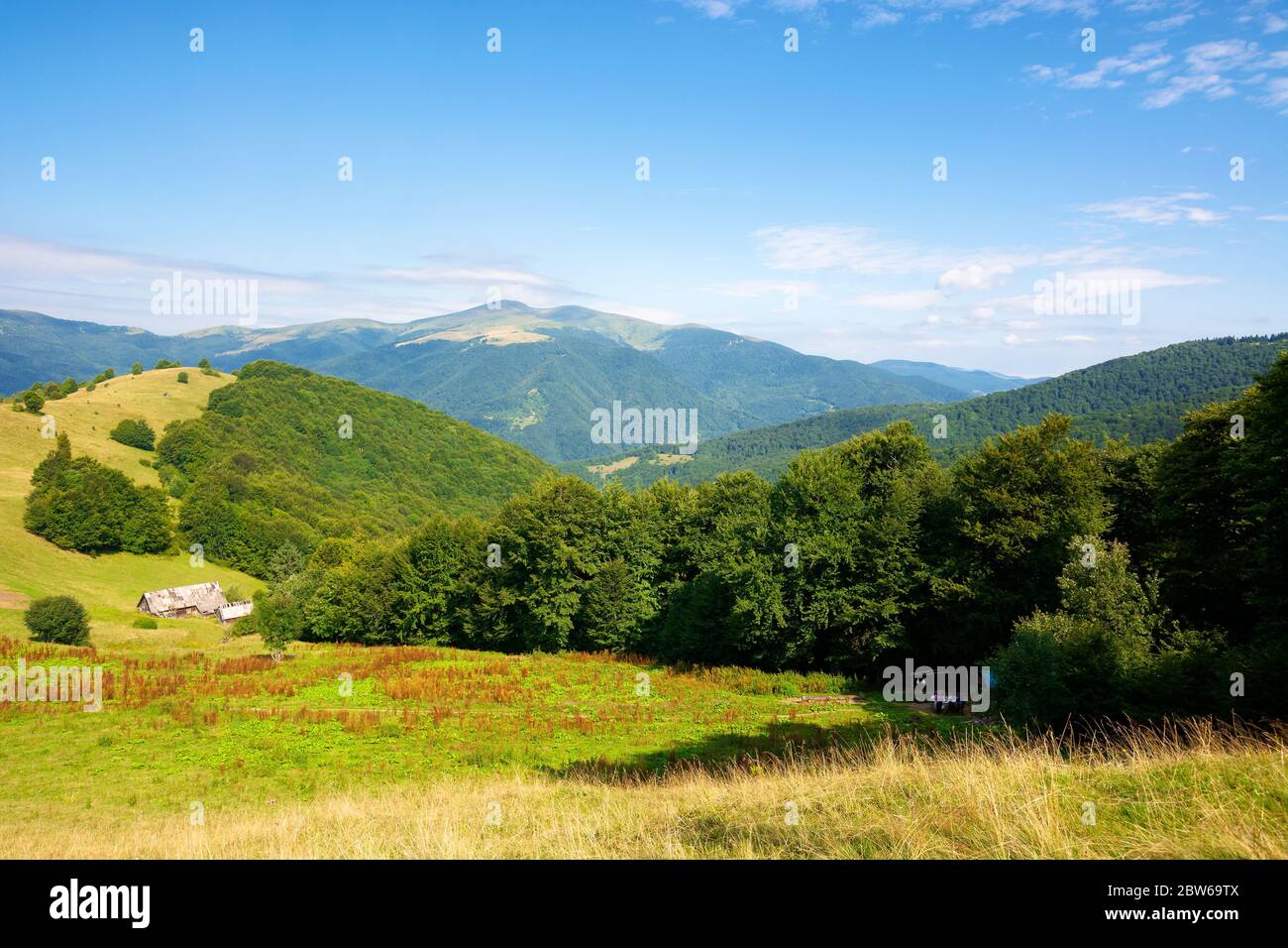 Carp highlands hi-res stock photography and images - Alamy