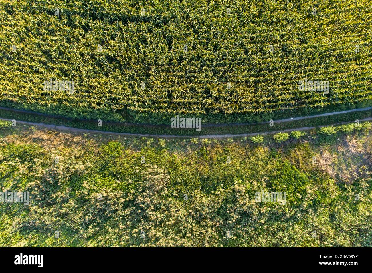 country road, view from above Stock Photo - Alamy