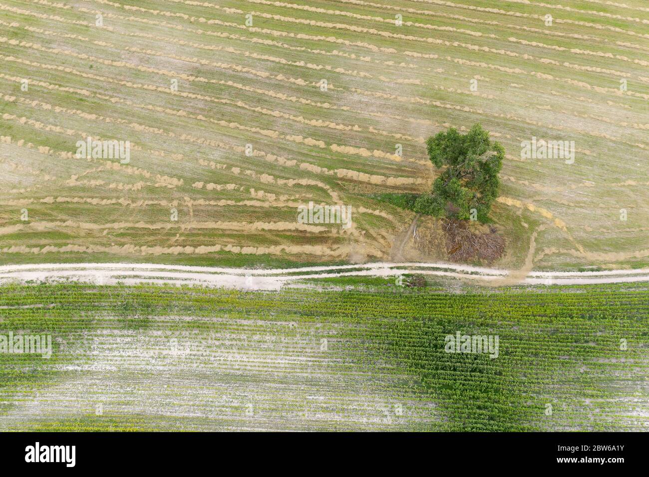 country road, view from above Stock Photo - Alamy