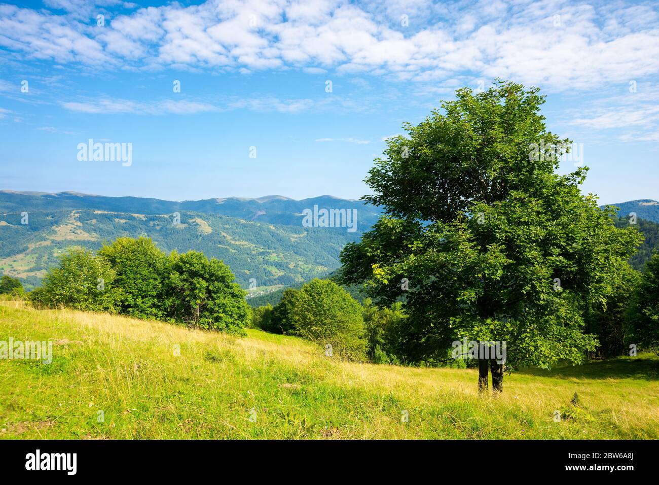 Beautiful rolling green hill grass hi-res stock photography and images ...