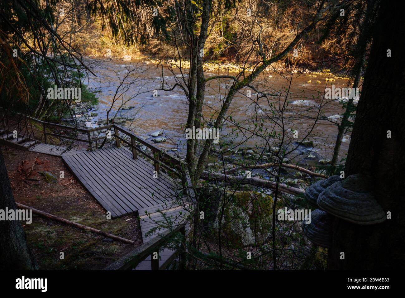 Forest and Vantaa river, suburban Helsinki Stock Photo - Alamy