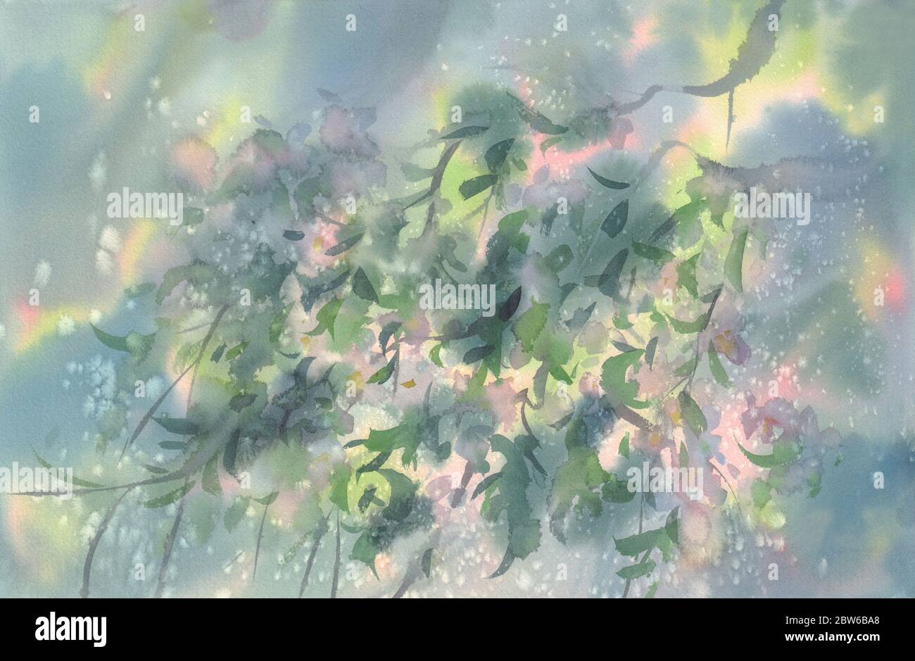 Flowering tree branches in spring watercolor background Stock Photo - Alamy