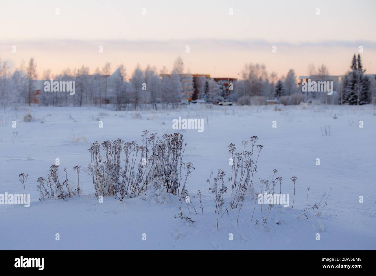 Cold snowy day in Finnish Lapland Stock Photo - Alamy