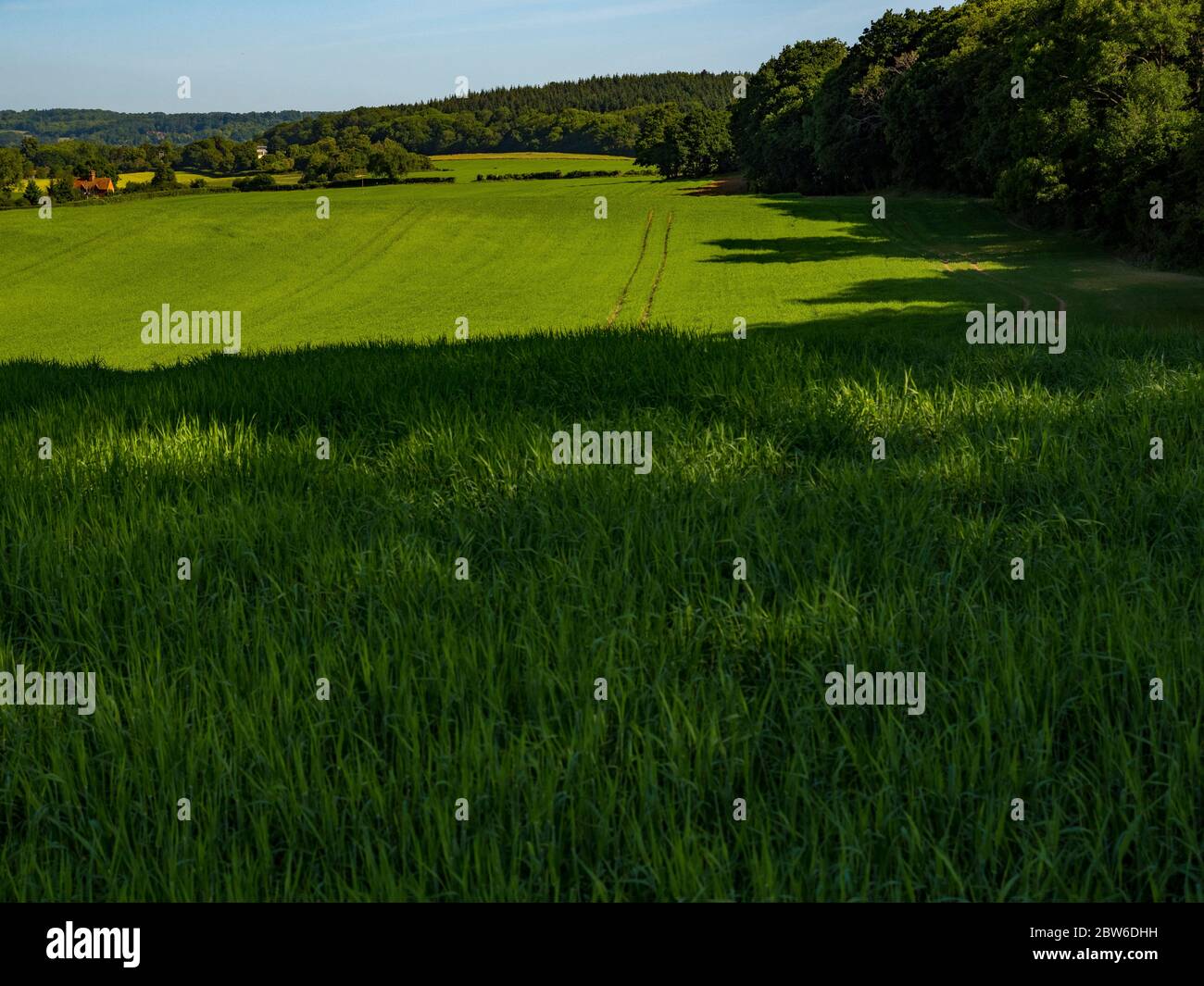 Tilehurst hi-res stock photography and images - Alamy