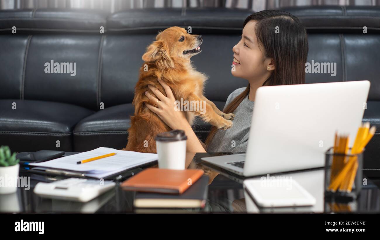 beautiful young asian woman working remotely from home and smiling ...
