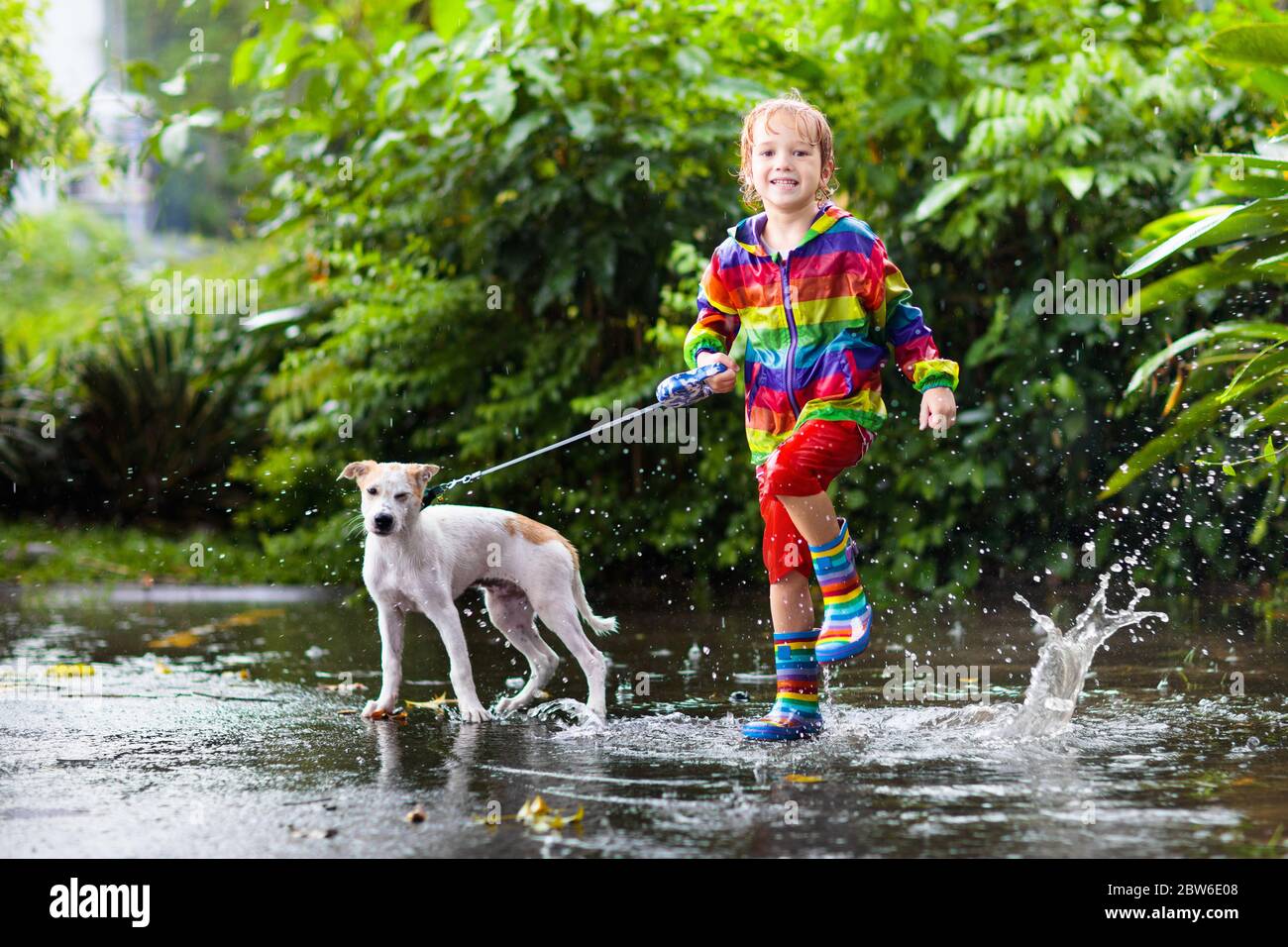 Kid and dog playing in the rain in autumn park. Child walking puppy ...