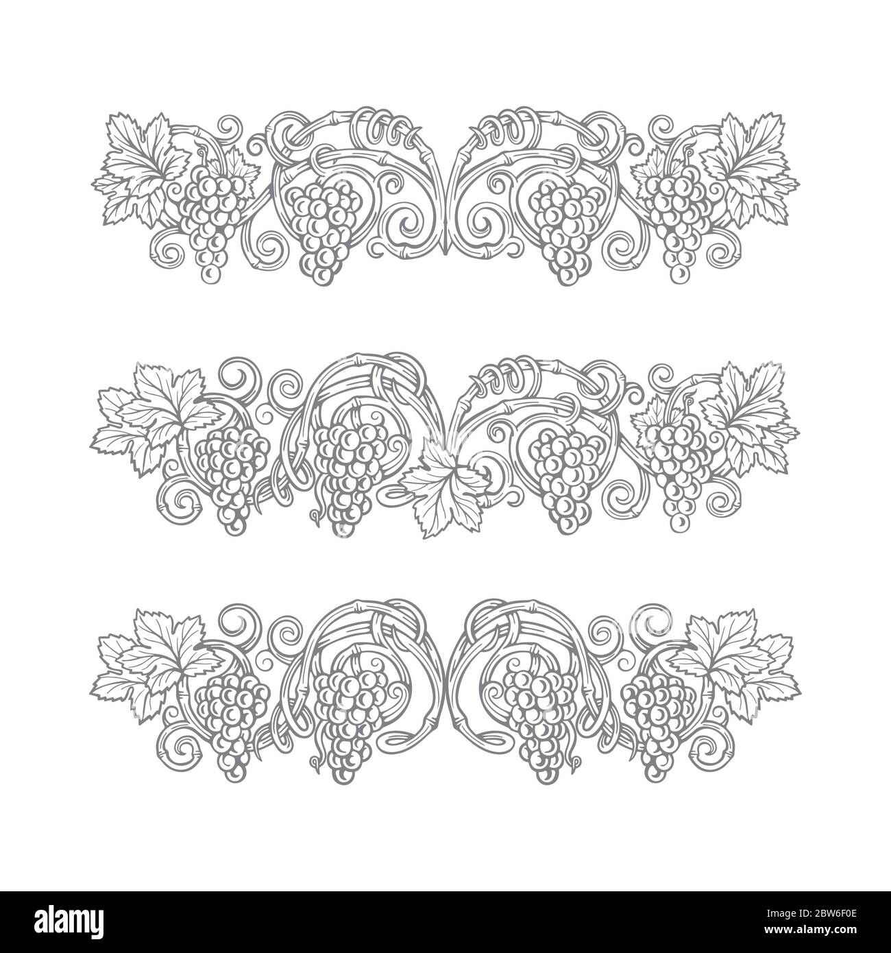 Grapevine vintage style ornaments. Grape bunch and vine hand drawn ...