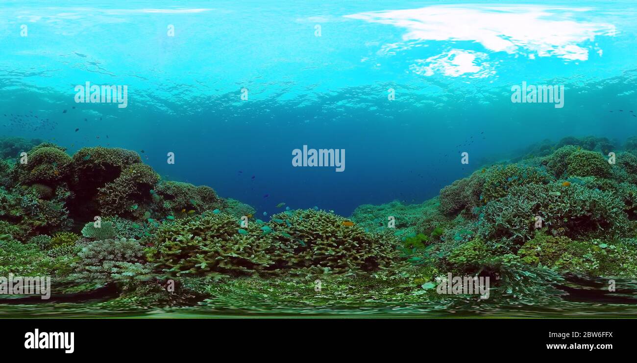 Equirectangular image hi-res stock photography and images - Alamy