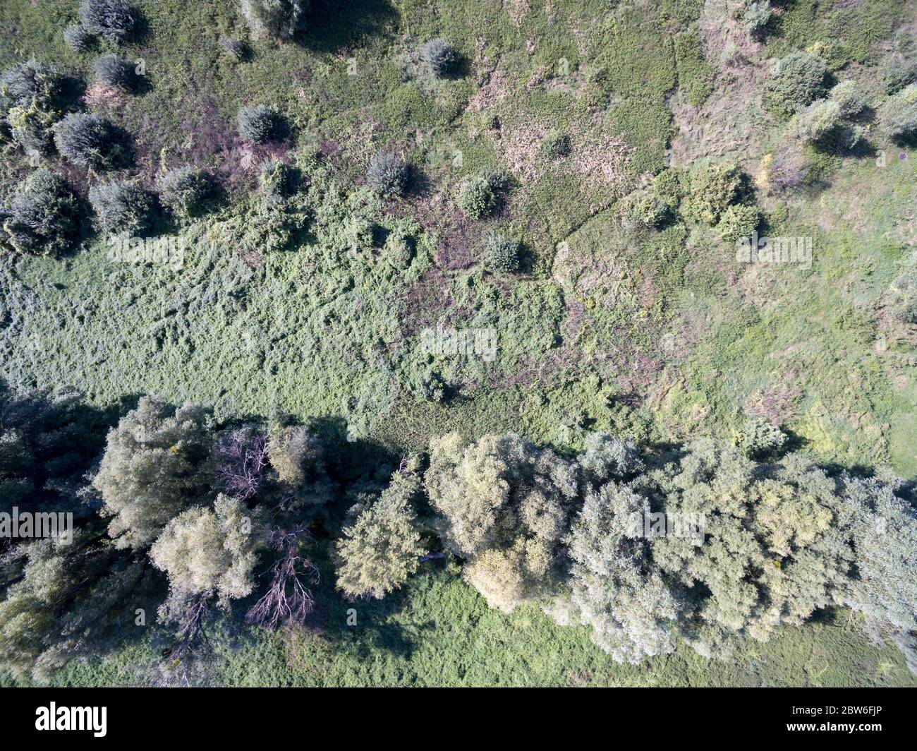 wild field, view from above Stock Photo - Alamy