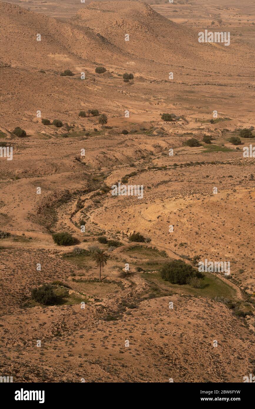 view of the dahar, tunisia Stock Photo - Alamy