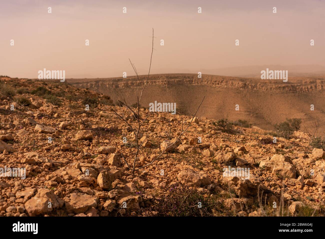 view of the dahar, tunisia Stock Photo - Alamy