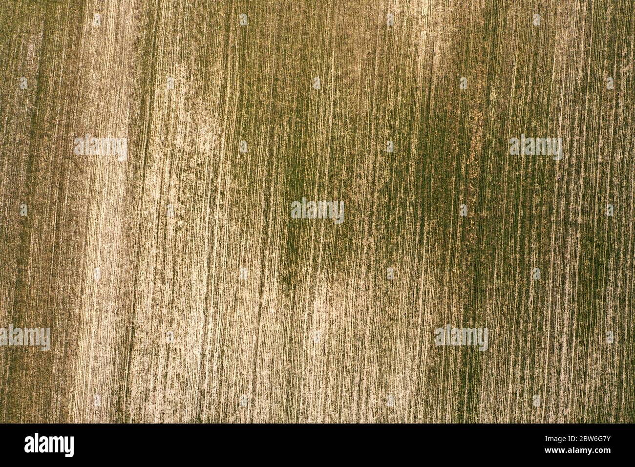 farm field, agriculture, view from above Stock Photo - Alamy