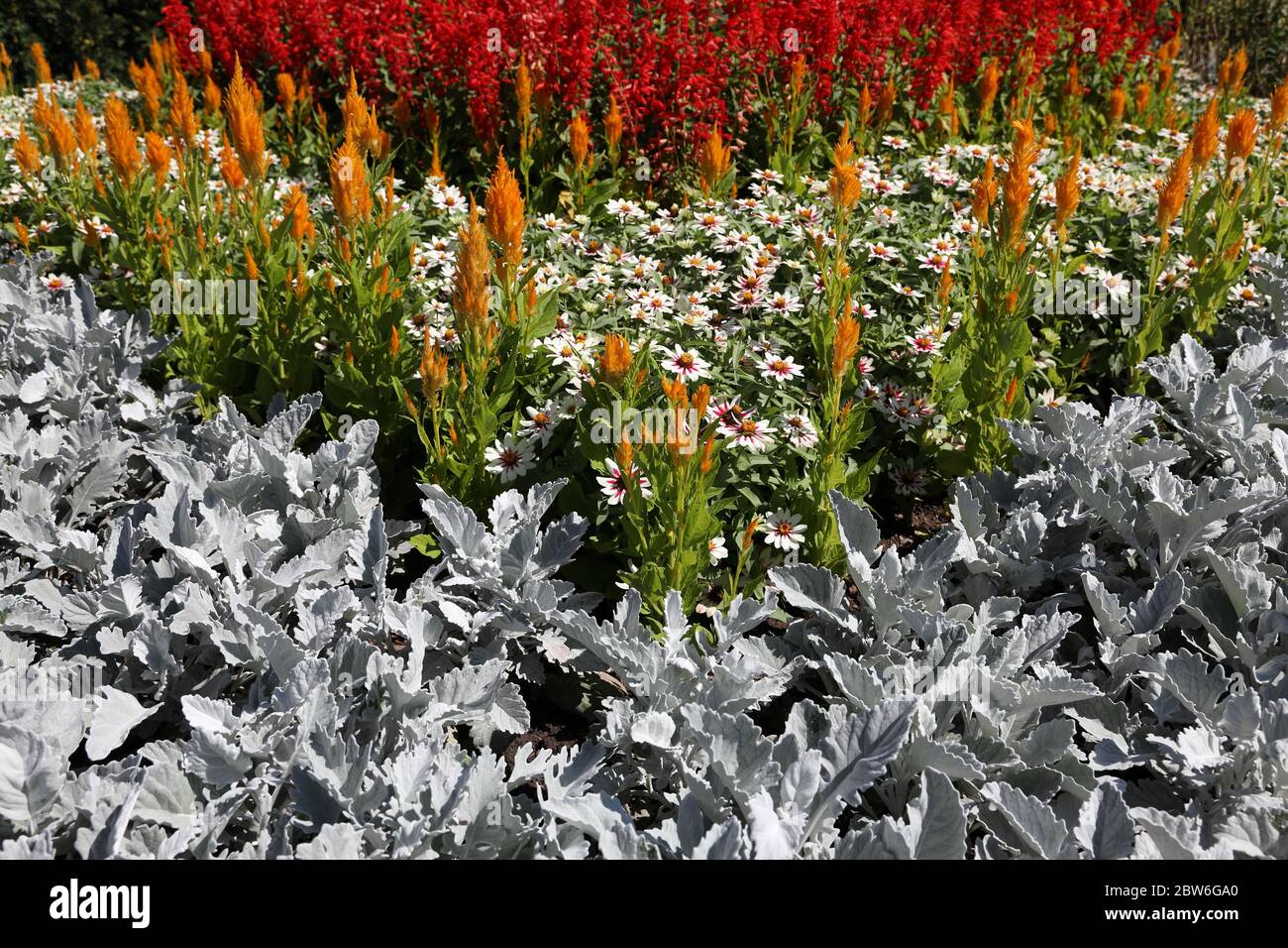 A well put together garden Stock Photo - Alamy