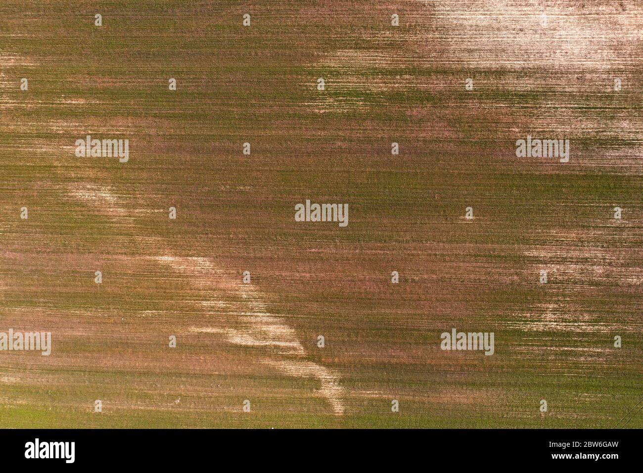 farm field, agriculture, view from above Stock Photo - Alamy