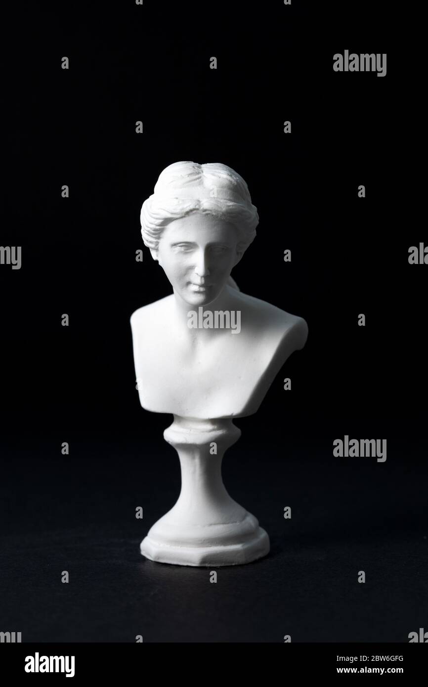 Venus anatomy hi-res stock photography and images - Alamy