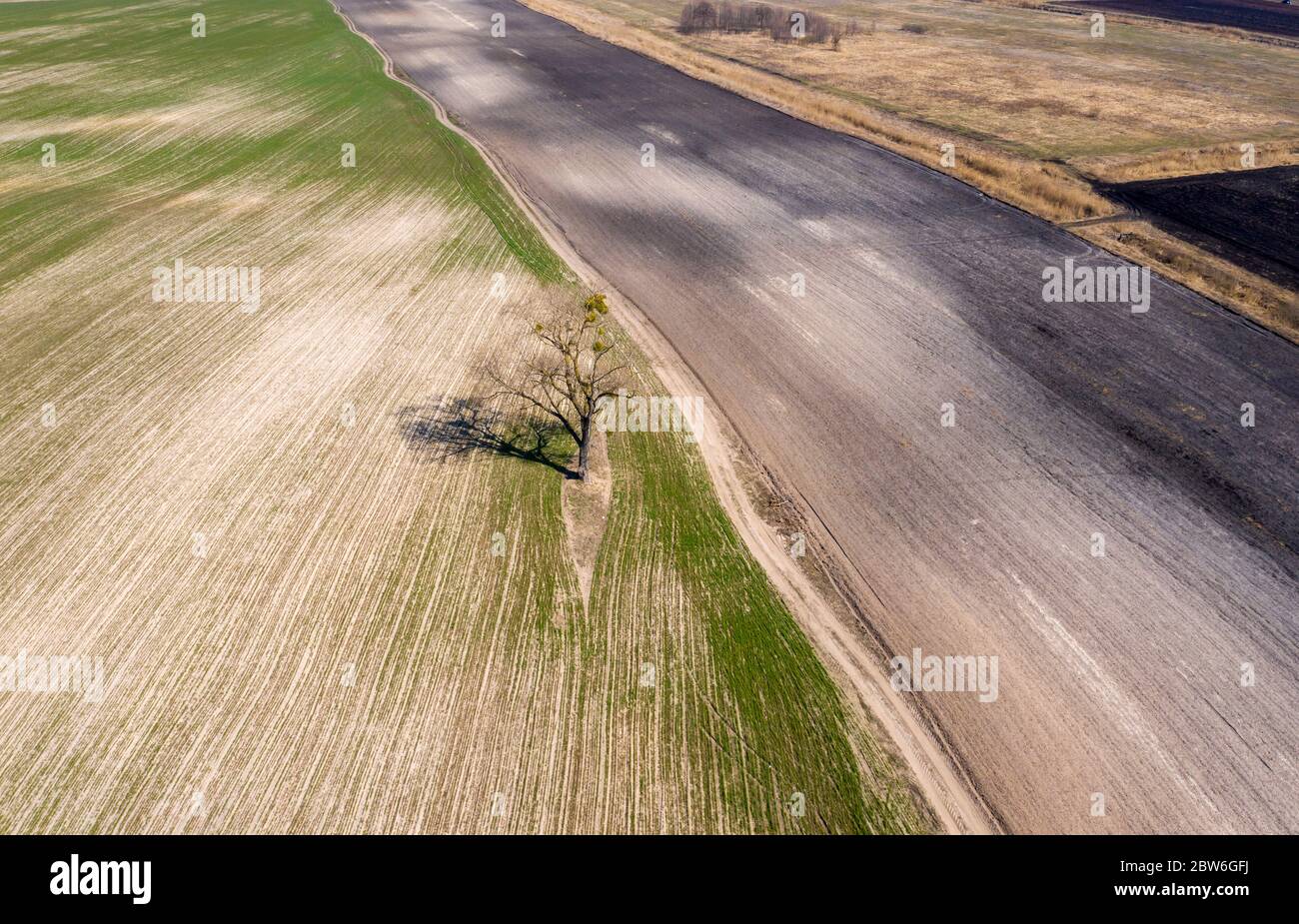 farm field, agriculture, view from above Stock Photo - Alamy