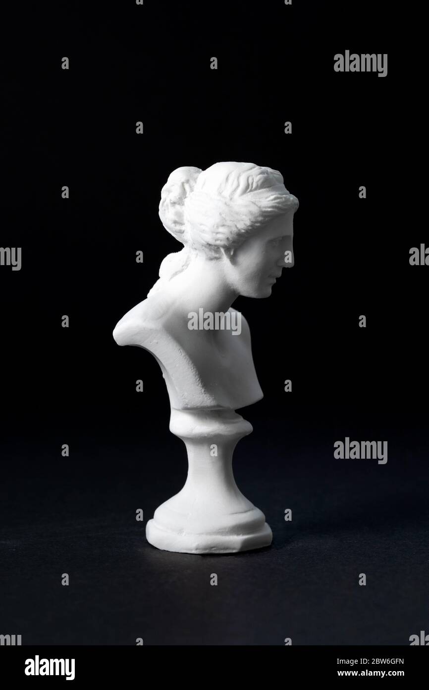 Venus anatomy hi-res stock photography and images - Alamy