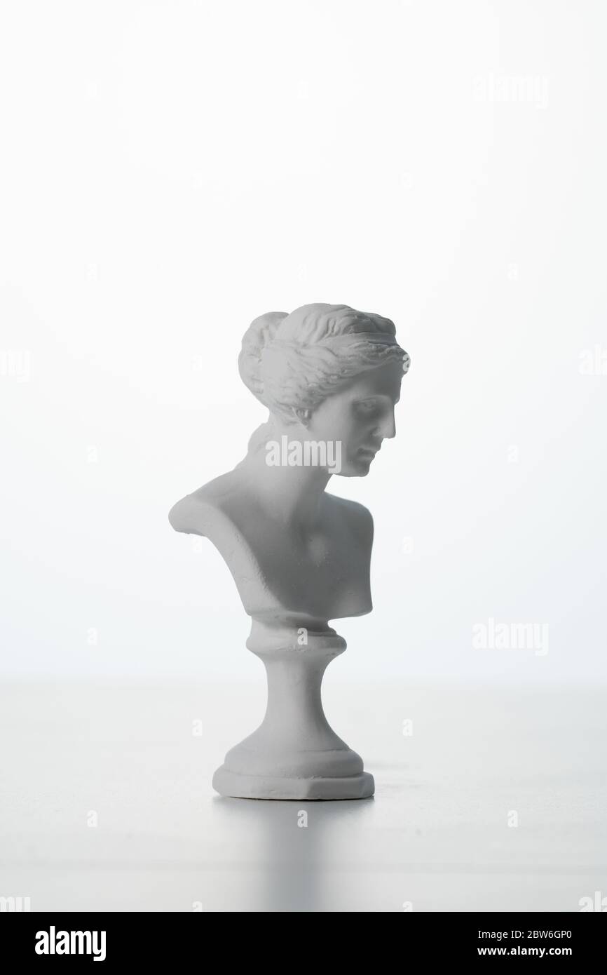 Venus anatomy hi-res stock photography and images - Alamy