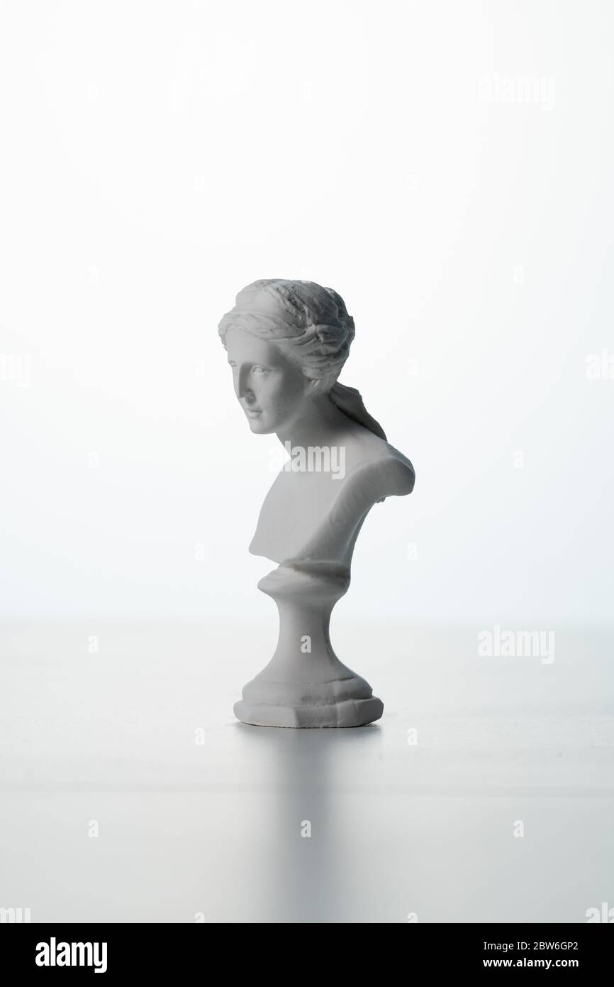 Venus anatomy hi-res stock photography and images - Alamy