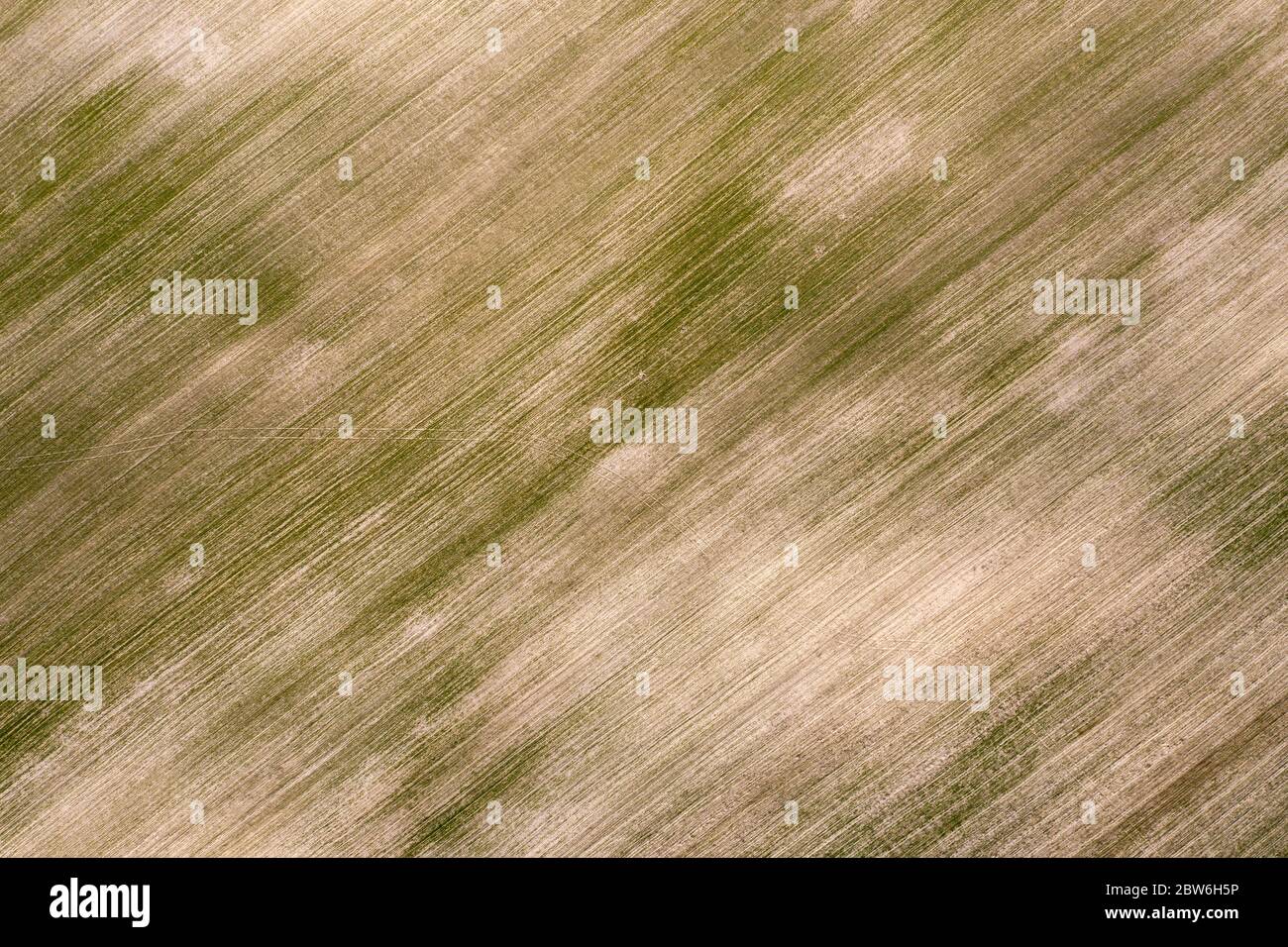 farm field, agriculture, view from above Stock Photo - Alamy