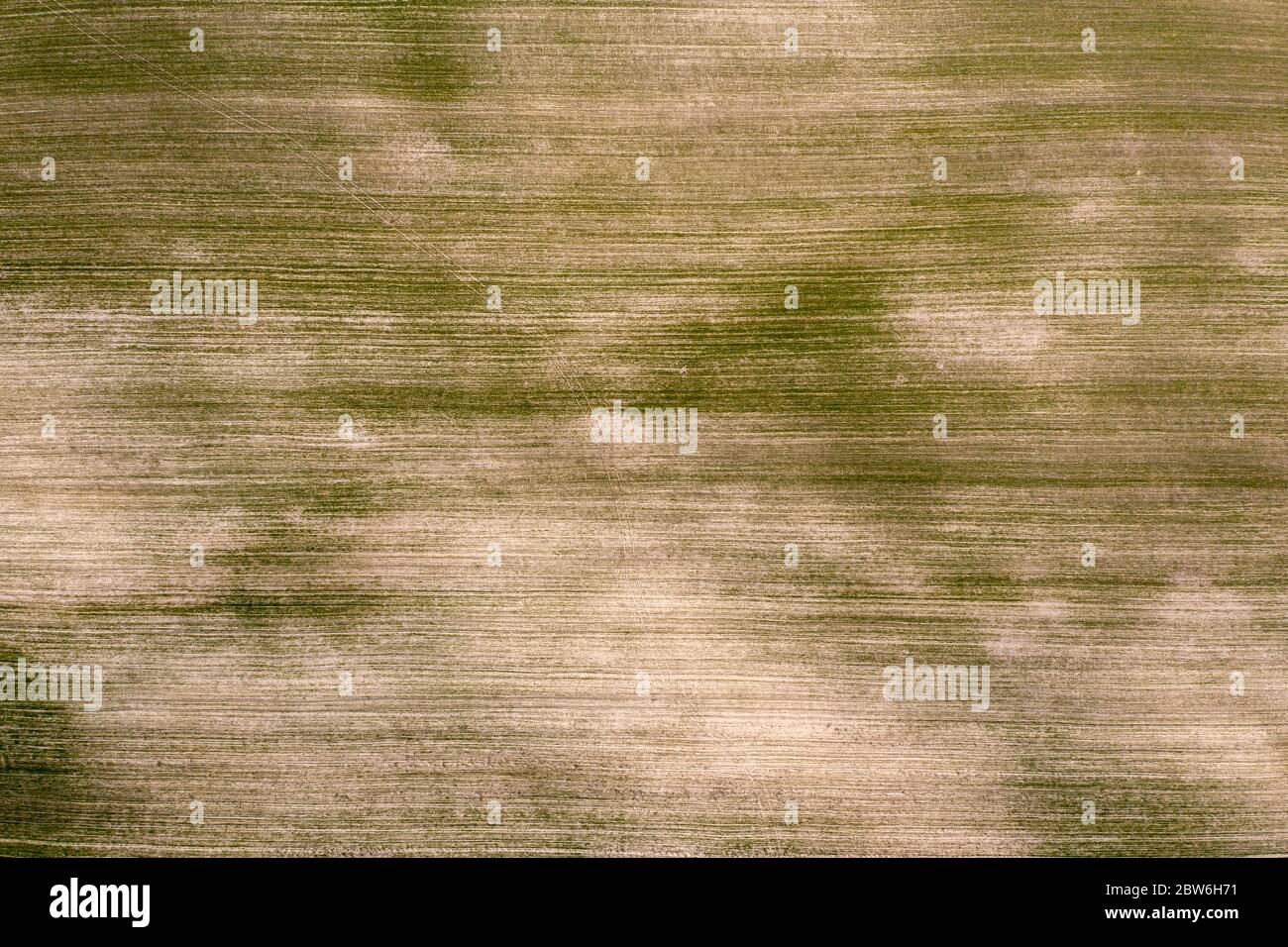 farm field, agriculture, view from above Stock Photo - Alamy