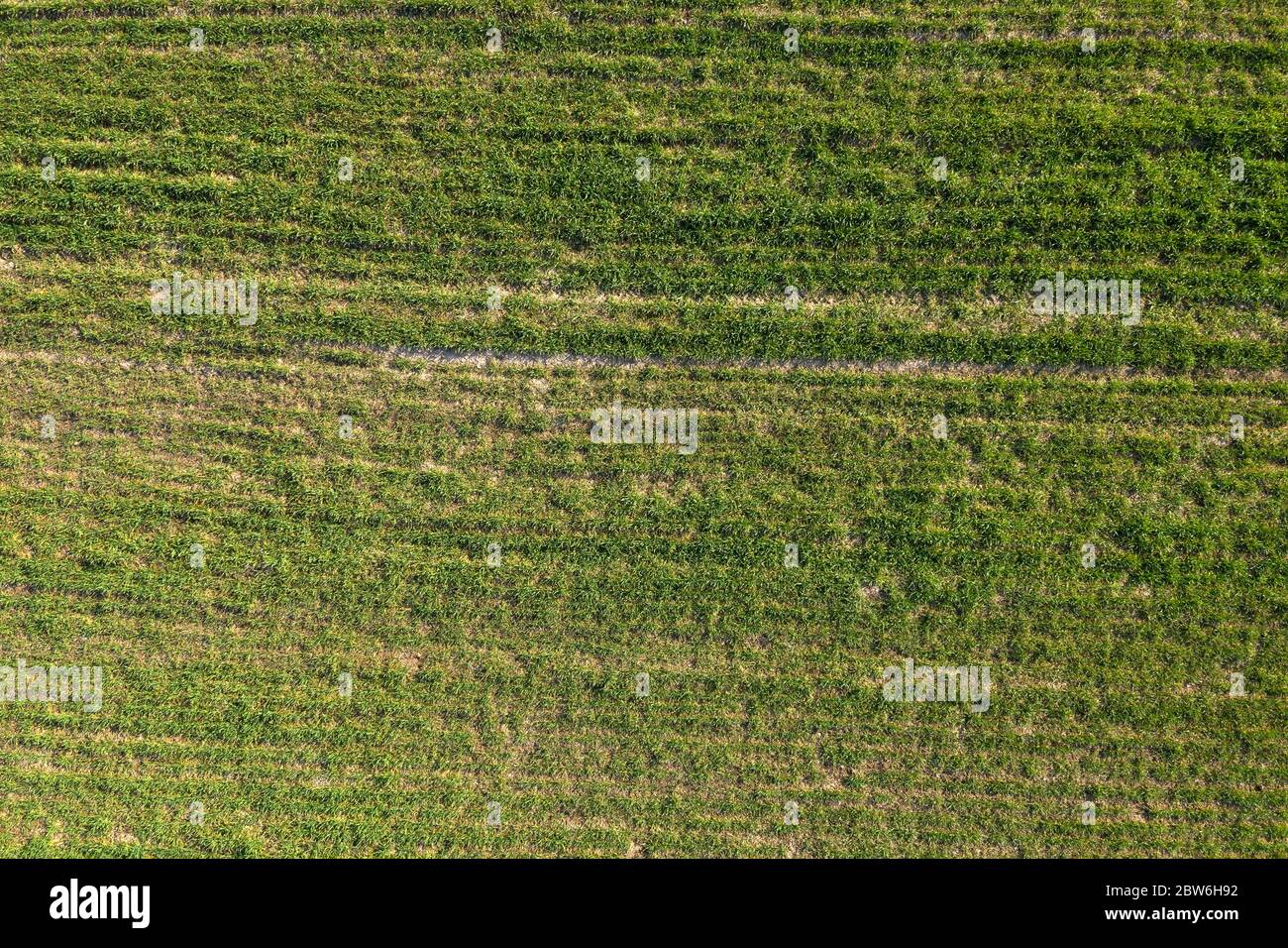 farm field, agriculture, view from above Stock Photo - Alamy