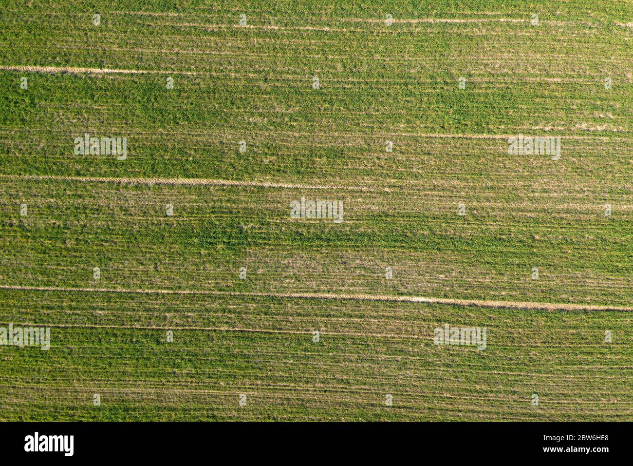 farm field, agriculture, view from above Stock Photo - Alamy