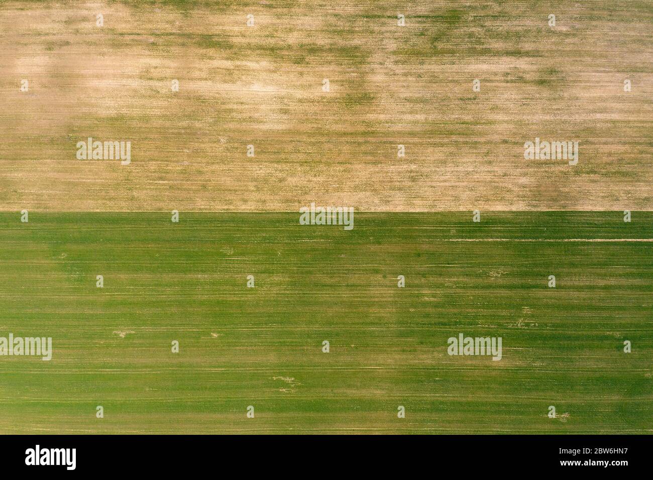 farm field, agriculture, view from above Stock Photo - Alamy